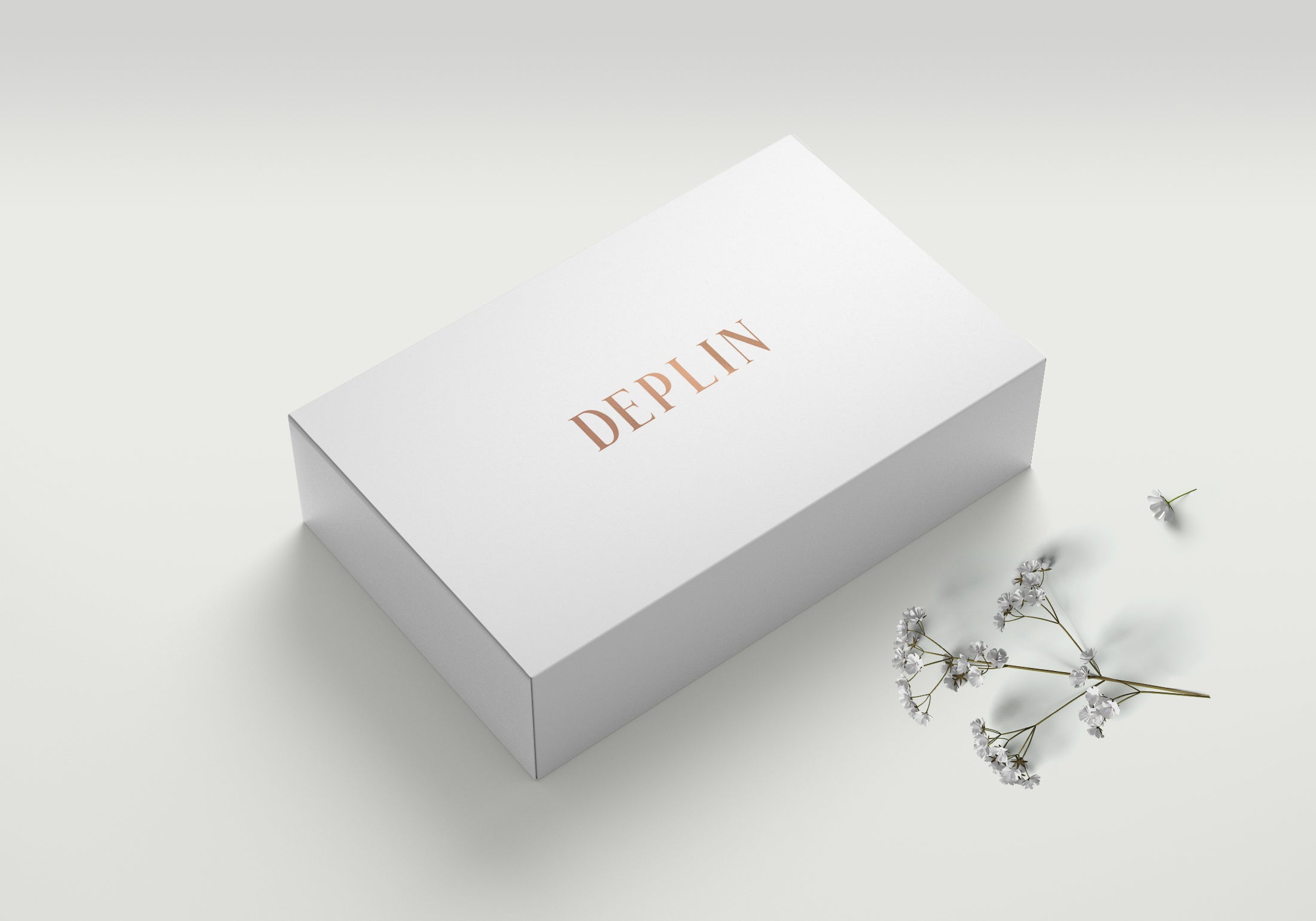 MOMENT DEPLIN – deplin